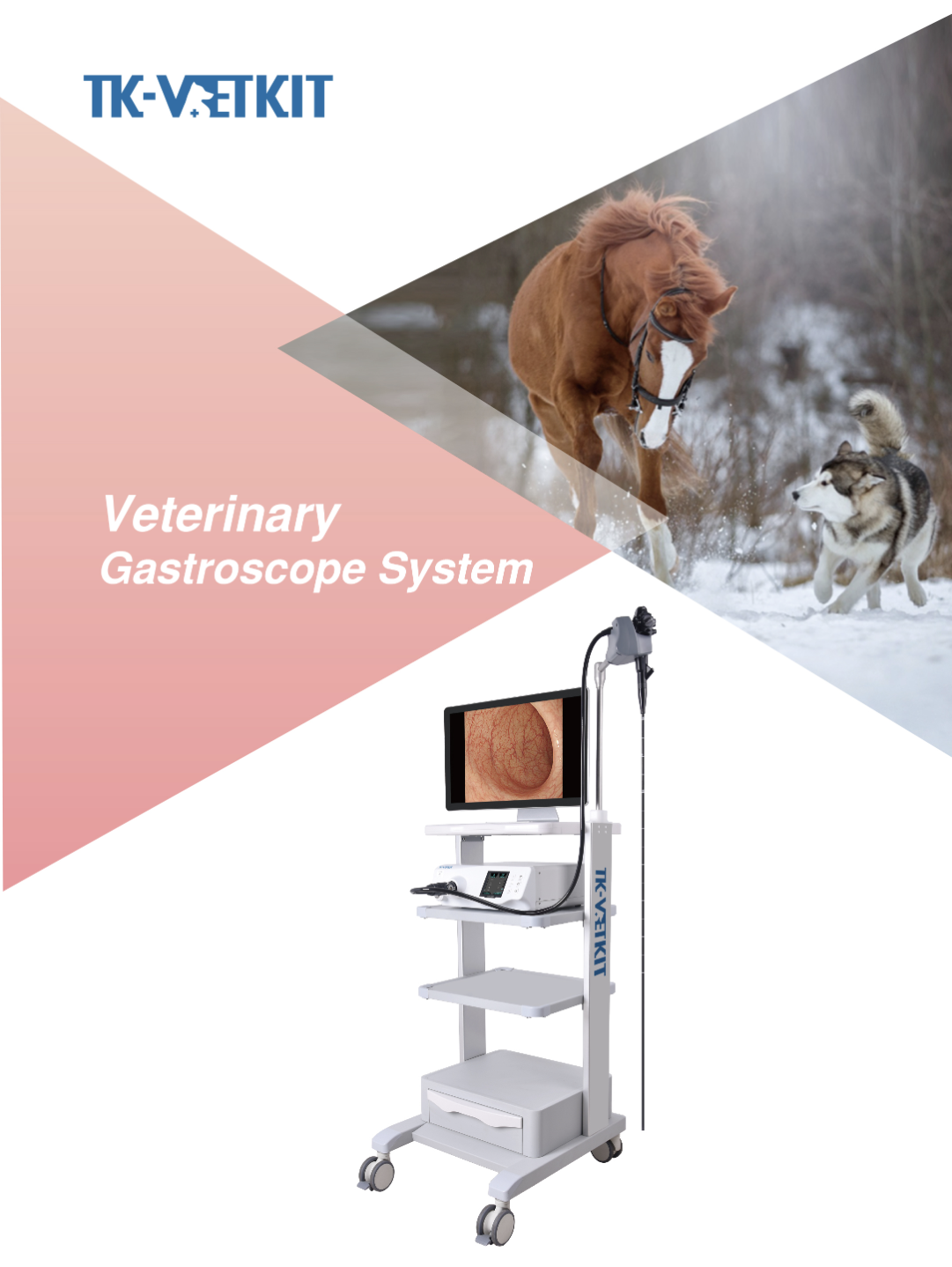 TK-Vetkit - GU Series - Veterinary Gastroscope System - Histocenter